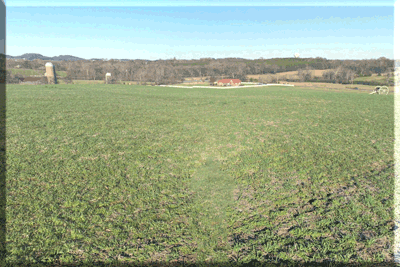 Spring Hill Tour - Battle of Nashville & Beyond